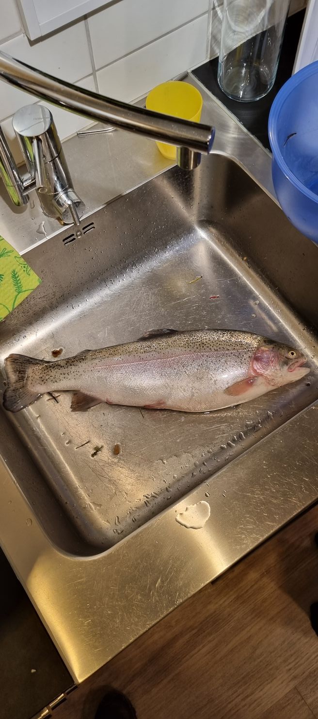 Fiskerapporter, Lidens Nedre