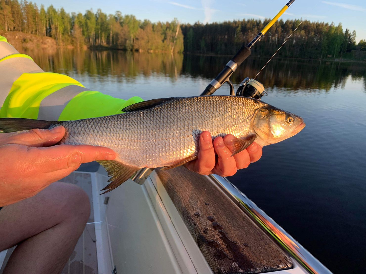 Fiskerapporter, Virsbo FVF