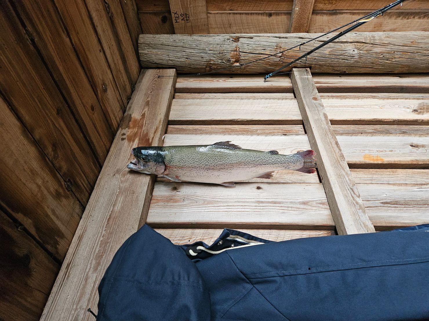 Fiskerapporter, Vildmarksfiske Boxholm Skogar