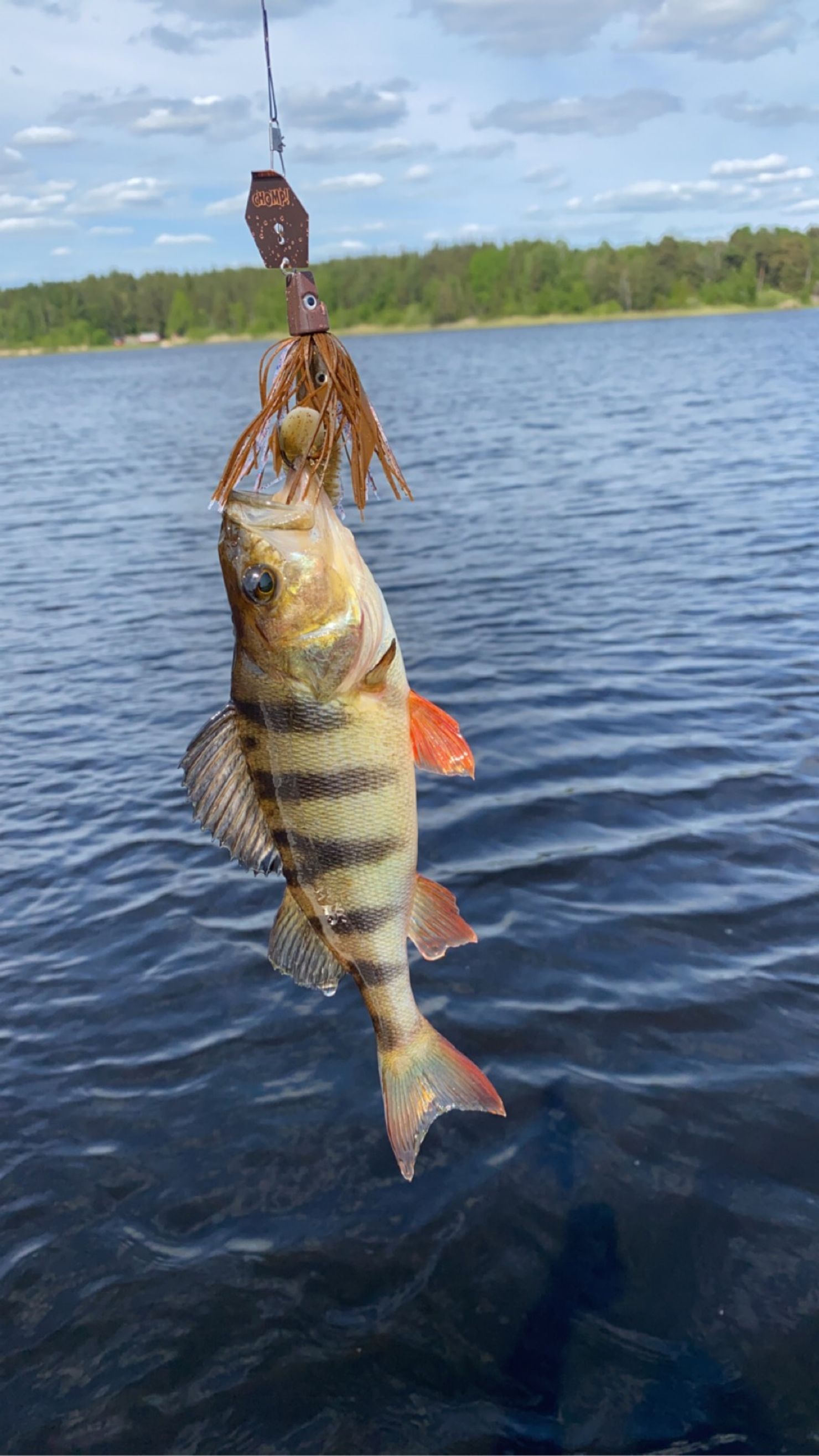 Fiskerapporter, Vildmarksfiske Boxholm Skogar