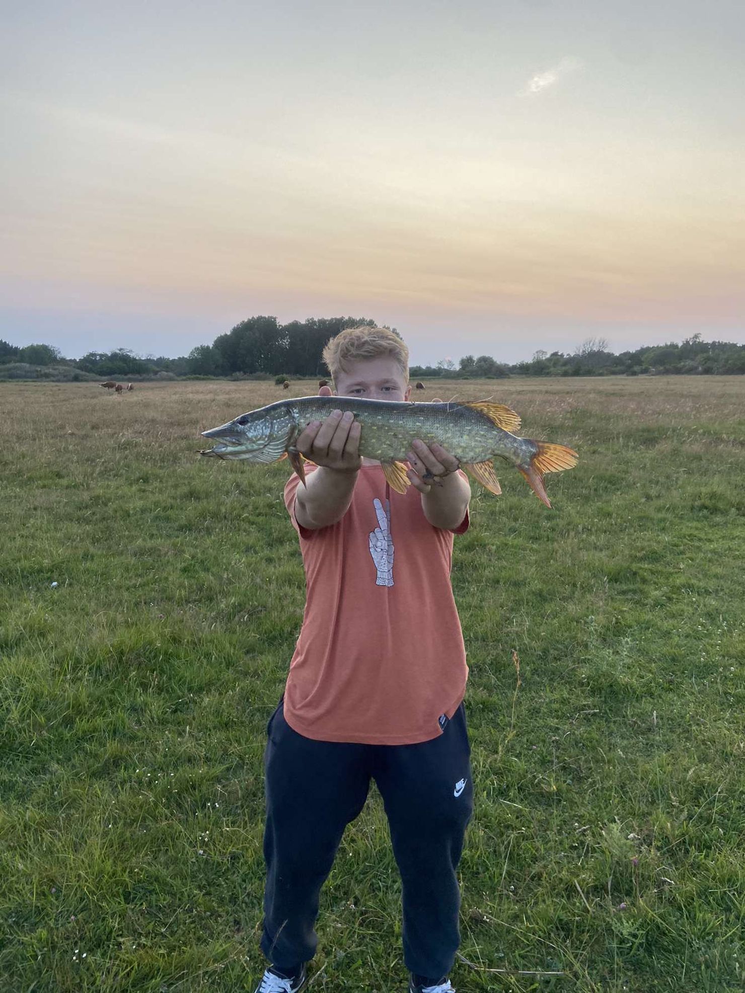 Fiskerapporter, Wadet