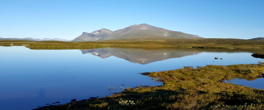 Fiske i Ljungan, Öjön m fl vatten